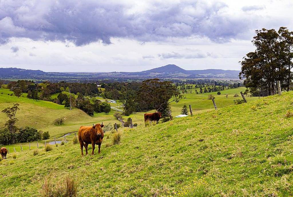 Berry rural property 'Bellevue' has an asking price of $12 million