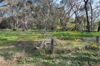 511 Prairie West Road, Calivil, VIC 3573 for Sale | view.com.au